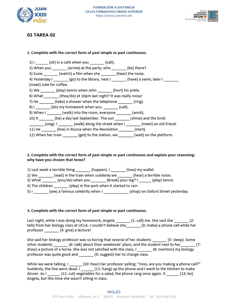 01 06 PAST SIMPLE vs PAST CONTINUOUS homework | PDF