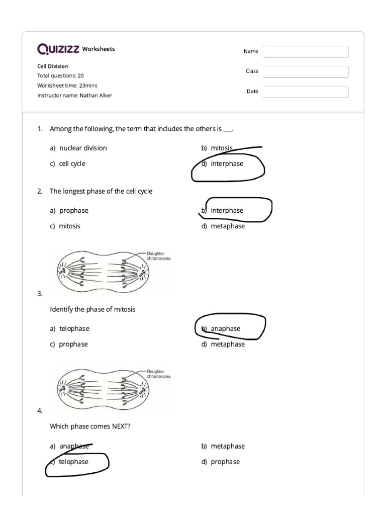 Cell Division _ Quizizz | PDF | Mitosis | Biology