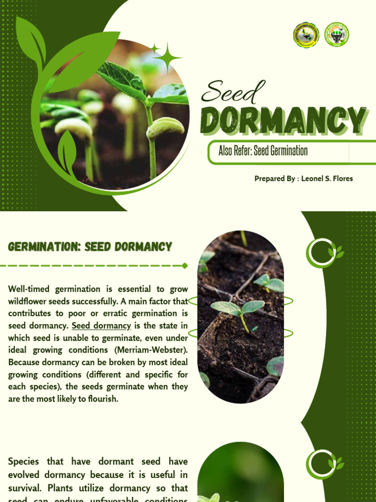 Seed-Dormancy | PDF | Seed | Germination