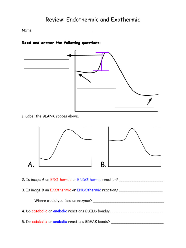 Review: Endothermic and Exothermic: Read and Answer The Following ...