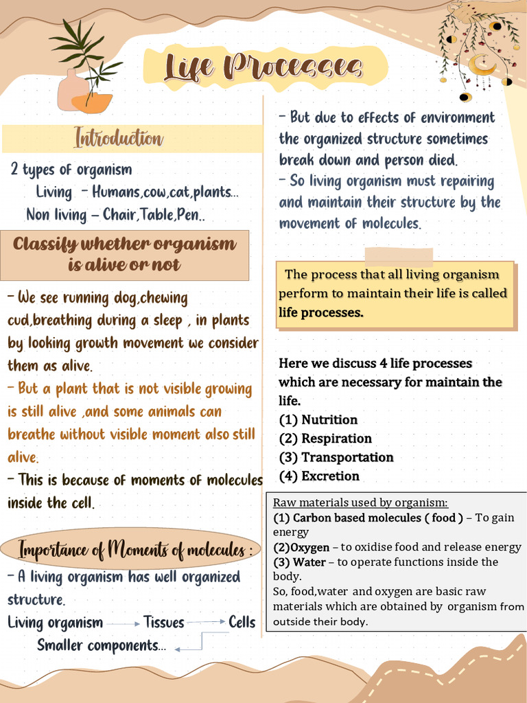 Class 10 Life Processes | PDF | Cellular Respiration | Nutrition