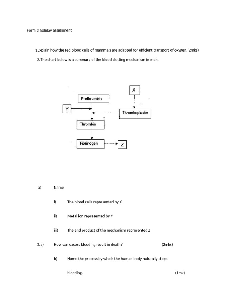 Mammalian Blood and Circulatory System Assignment | PDF | Blood | Genotype