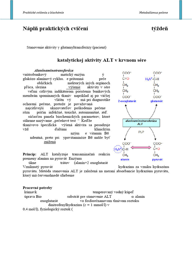 06 Tyzden Ls | PDF