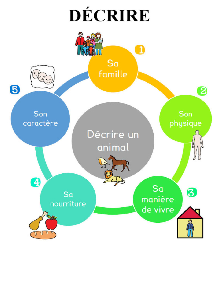 Affichage décrire un animal | PDF