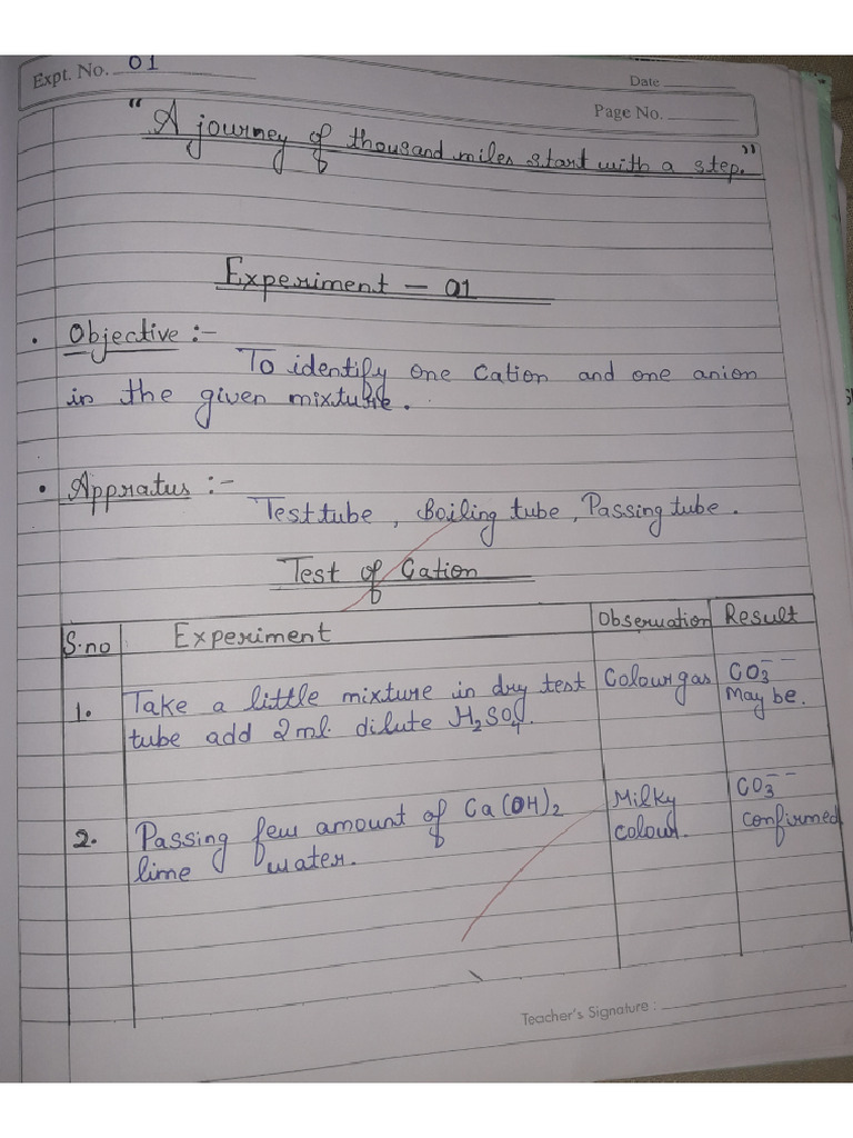 Chemistry Practical | PDF