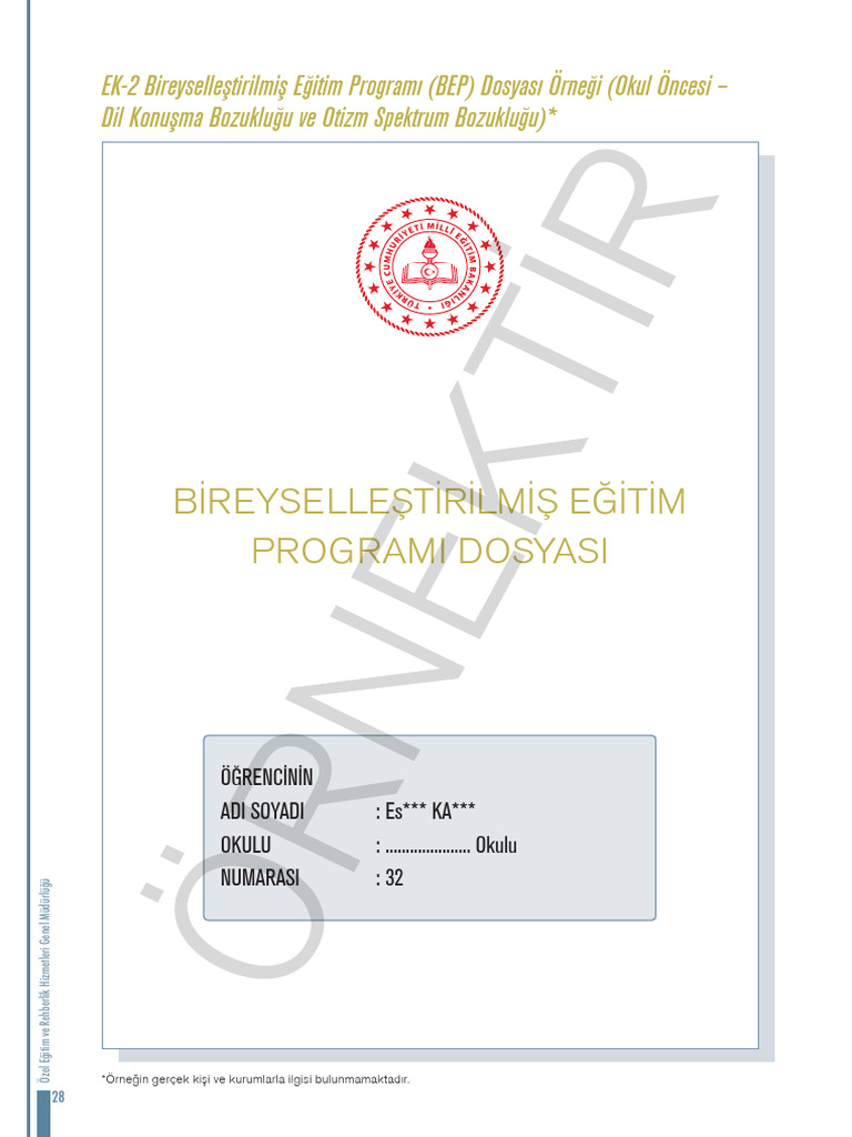 Okul Öncesi Örnek BEP Dosyası 1 | PDF