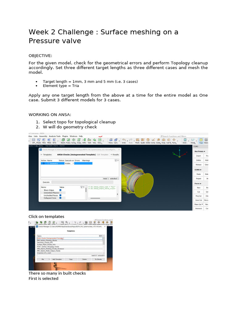 Week 2 Challenge Surface Meshing On A Pressure Valve | PDF | Geometry | Mathematics