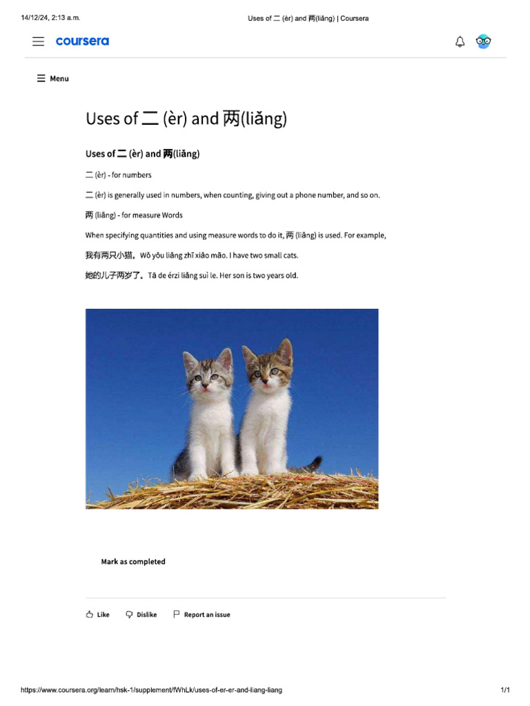 Liang y Er Usos | PDF