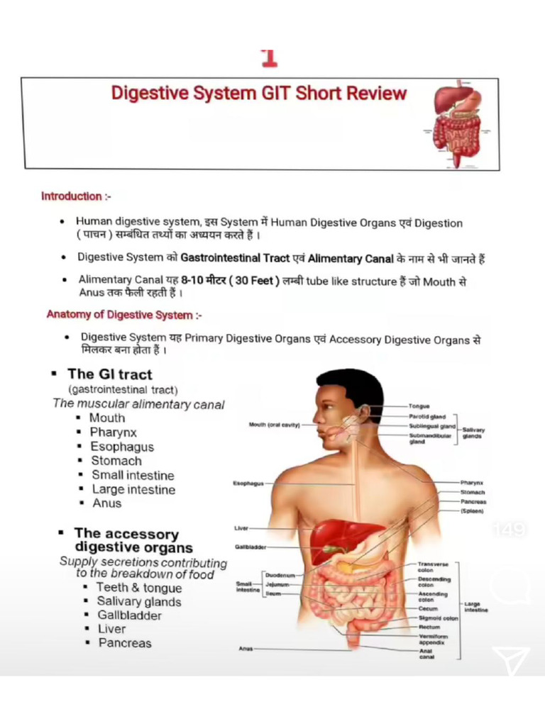 Digestive System Short Note PDF Jitendra Bhargav SlideShare GHH | PDF