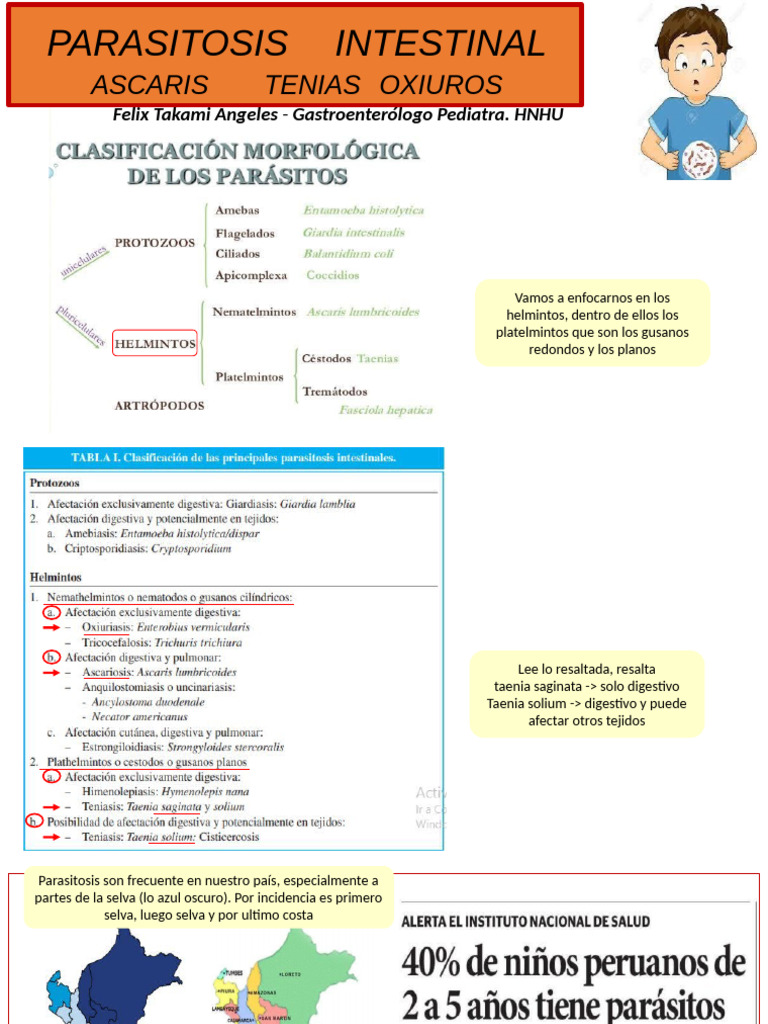 4 Parasitosis Intestinal Ascaris Tenias y Oxiuros | PDF | Enfermedades ...