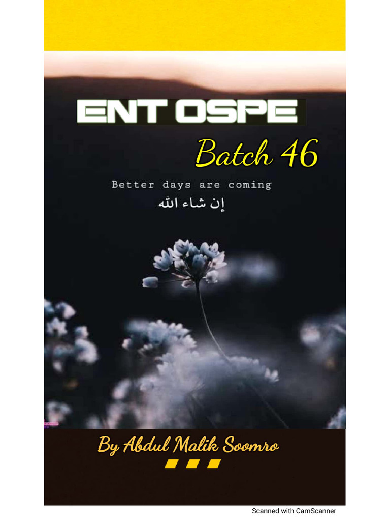 ENT OSPE by AMS 46 | PDF