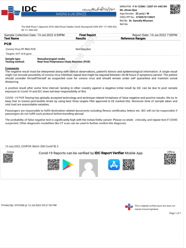 Patient Report PDF | PDF