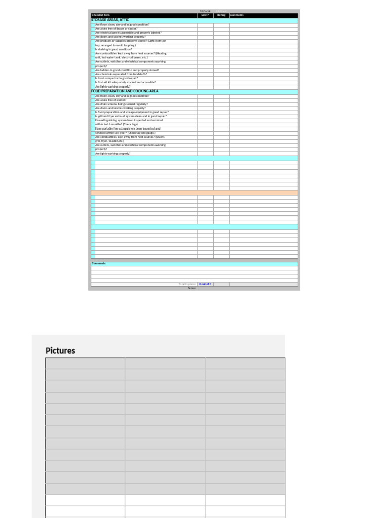 Audit Checklist | PDF