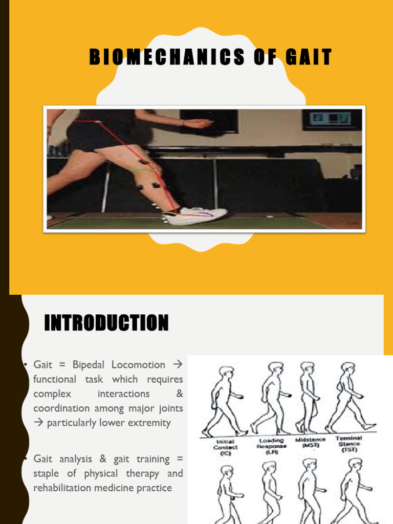 Biomechanics of Gait Analysis | PDF | Anatomical Terms Of Motion | Foot