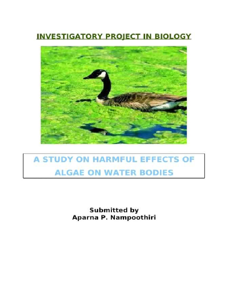 Harmful Effects of Algae On Water Bodies - Bio Project | PDF