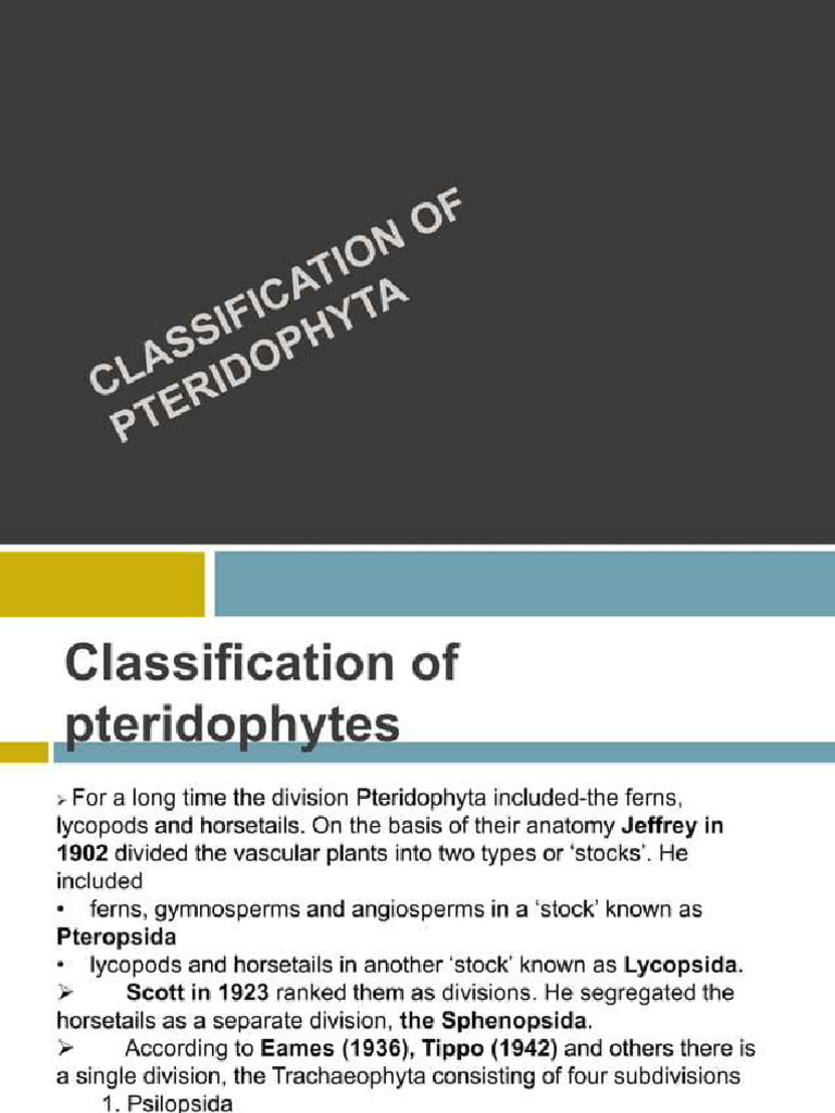 Classification of Pteridophytes | PDF