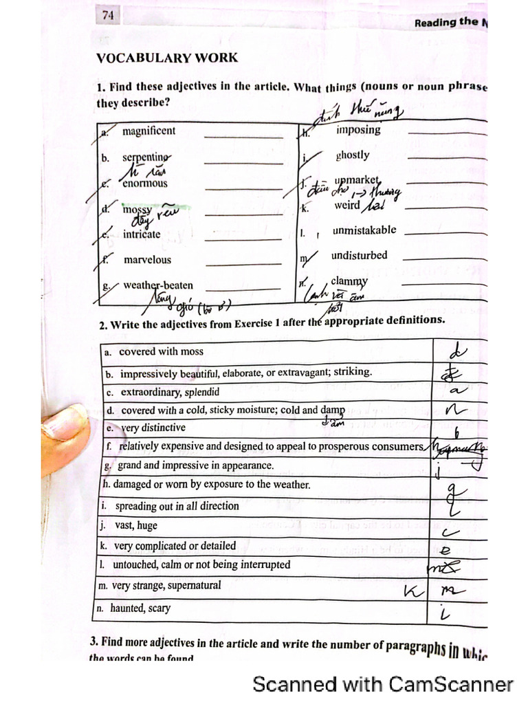 3_Tran Bao Anh_Unit 7 | PDF
