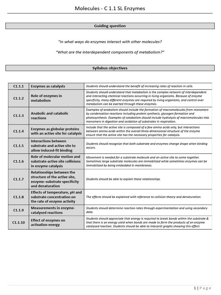 Enzyme Functions in Metabolism Explained | PDF | Enzyme | Active Site
