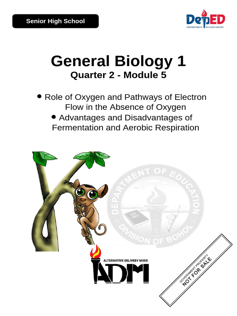 GBIO1_Q2_MODULE_WK5 | PDF | Cellular Respiration | Fermentation