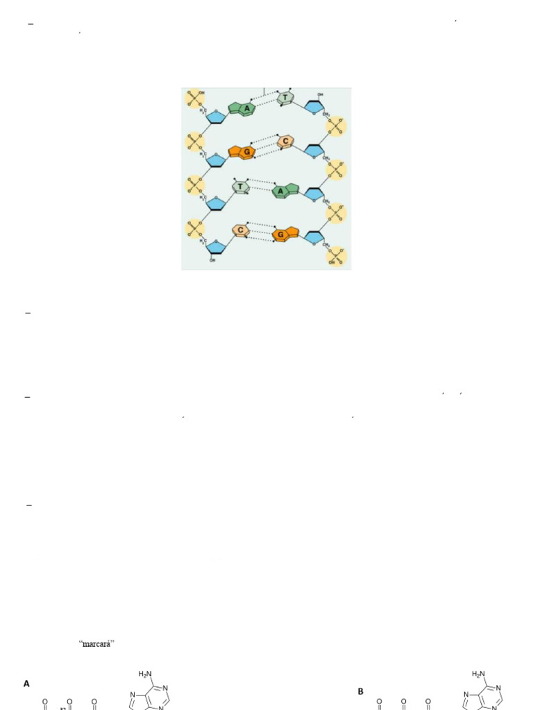 3_Exercicios de fixacao (DNA e RNA) | PDF | DNA | Macromoléculas