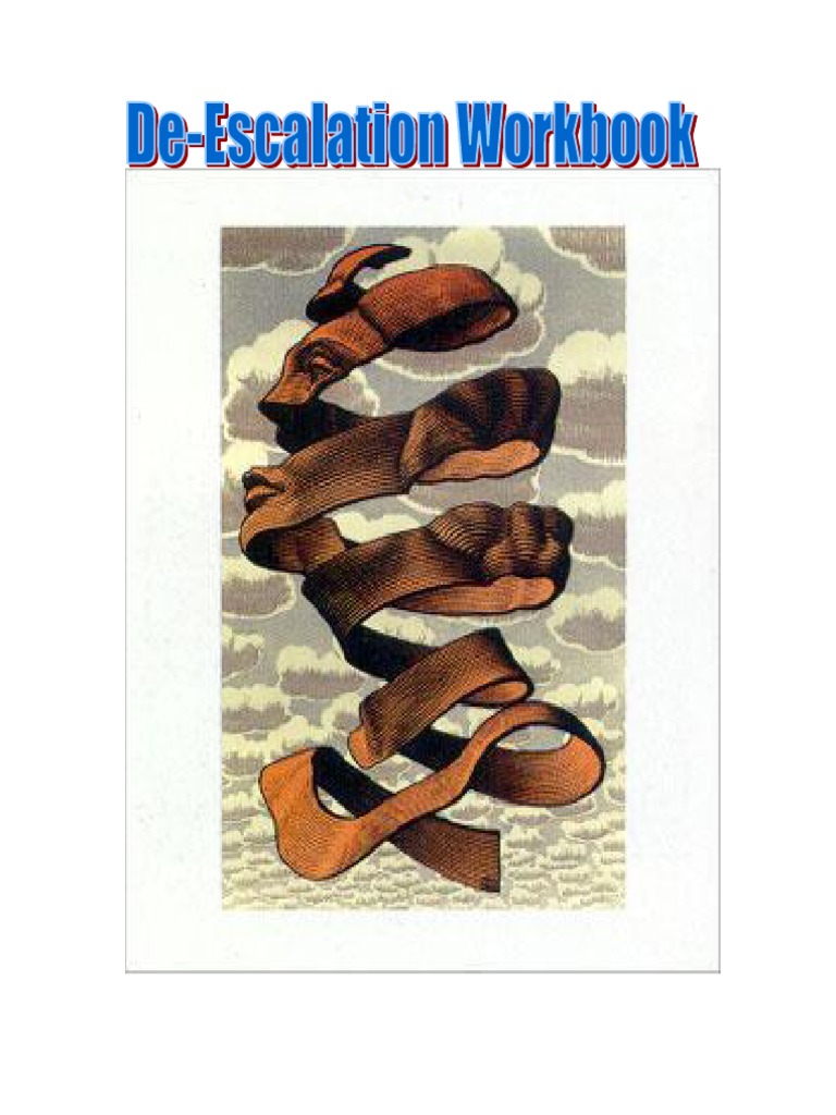 De Escalation Workbook | PDF | Aggression | Risk