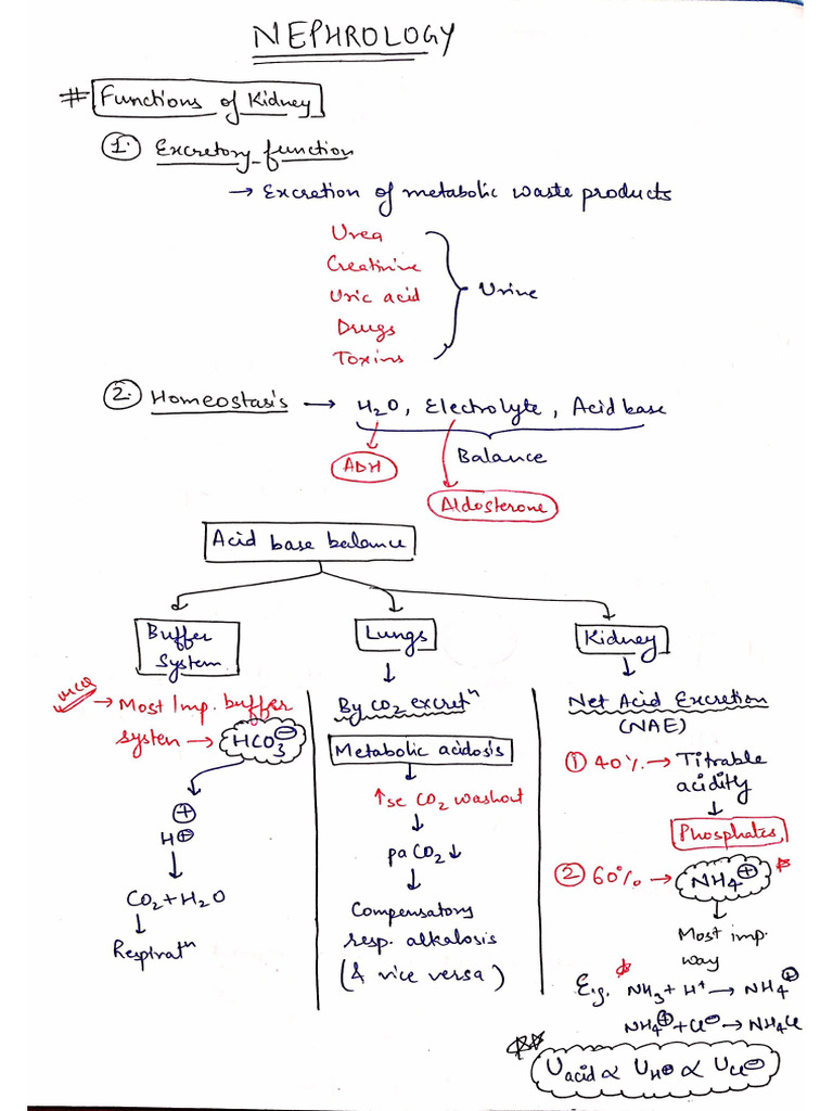 NEPHROLOGY | PDF