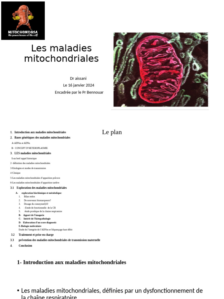 Les Maladies Mitochondriales | PDF | Génome mitochondrial | Mitochondrie