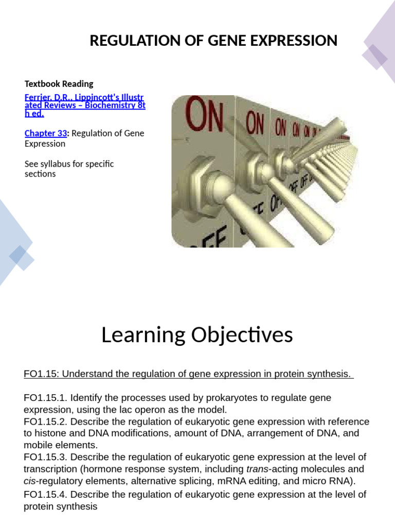 Regulation of Gene Expression - F2022 - Student | PDF | Regulation Of ...