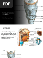 Anatomia e Função das Pregas Vocais | PDF | Laringe | Cabeça e pescoço ...