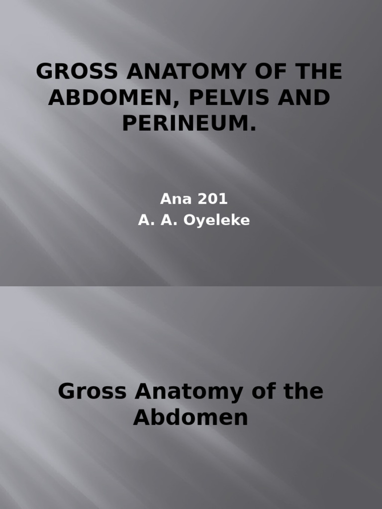 Anatomy of Abdomen, Pelvis & Perineum | PDF | Abdomen | Peritoneum