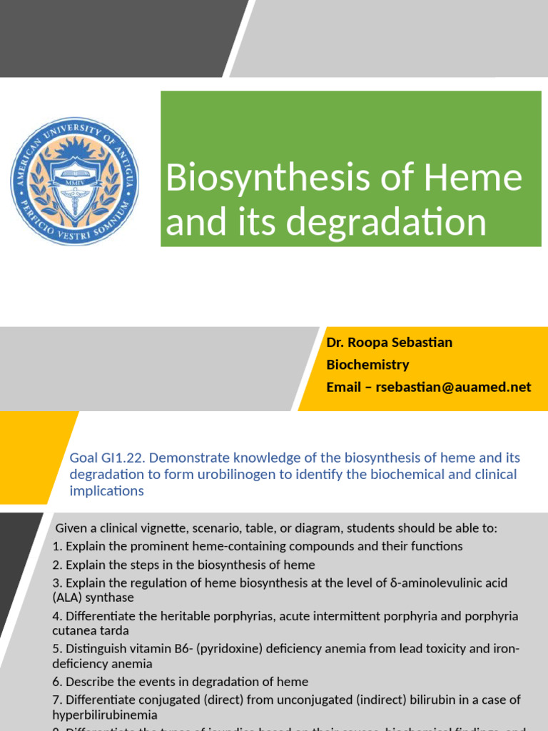 F2022 BB Heme Synthesis Degrdation STUDENT VERSION R Sebastian | PDF