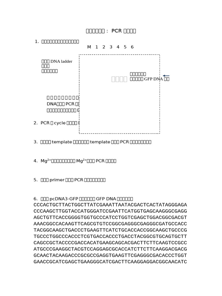 分生實驗報告格式 (PCR擴增反應) 20240410 | PDF