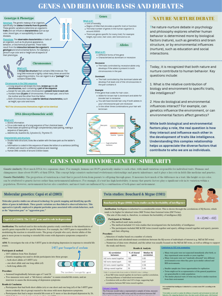 Genes and Behavior in IB Psychology | PDF | Epigenetics | Genotype