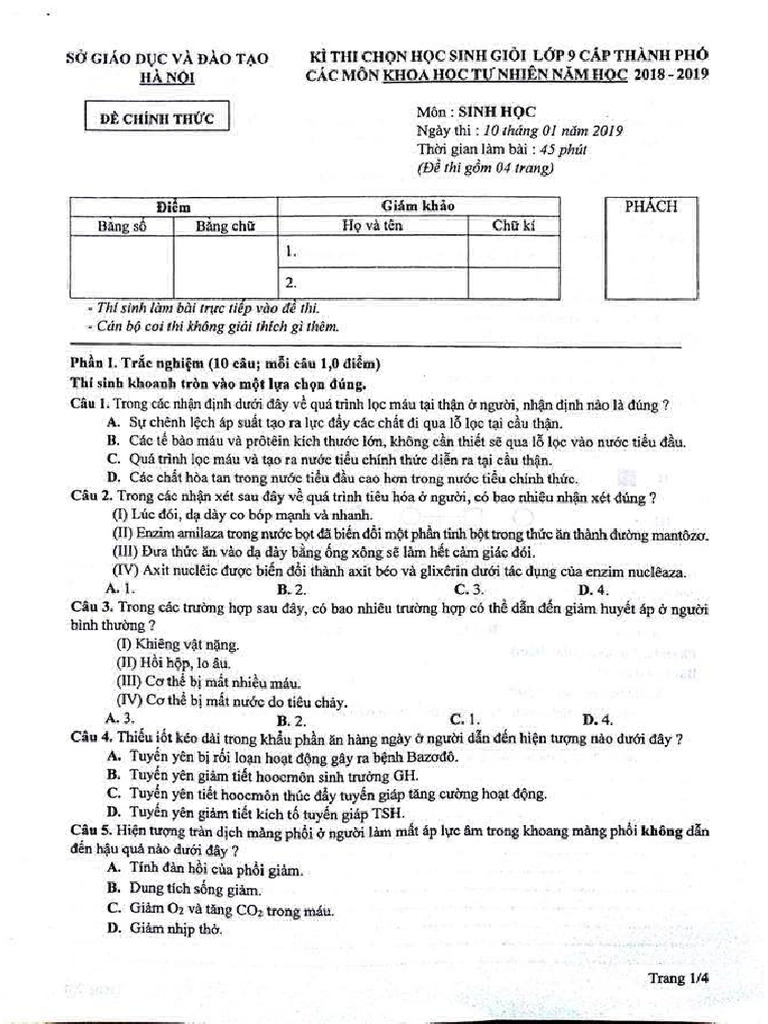 Đề Thi Ijso 2019 | PDF