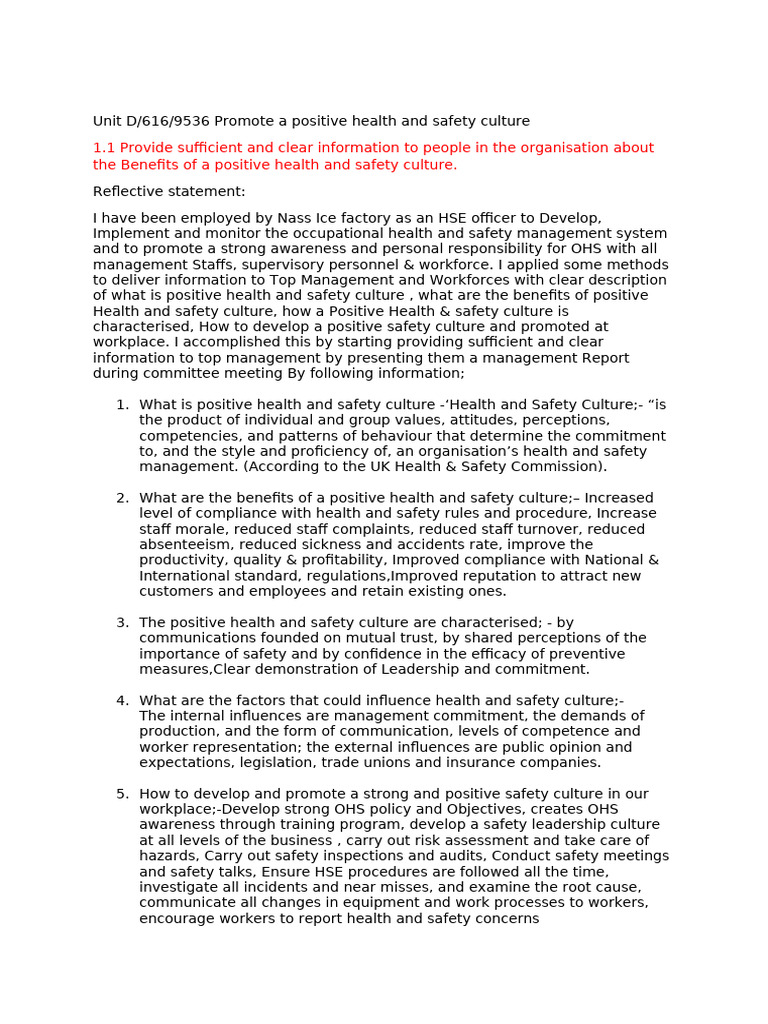 Promoting Positive Health and Safety Culture | PDF | Occupational ...
