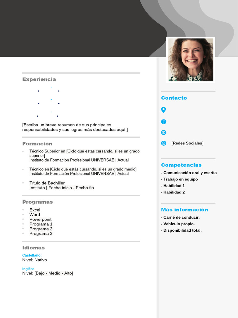Currículum Vitae Profesional Actualizado | PDF