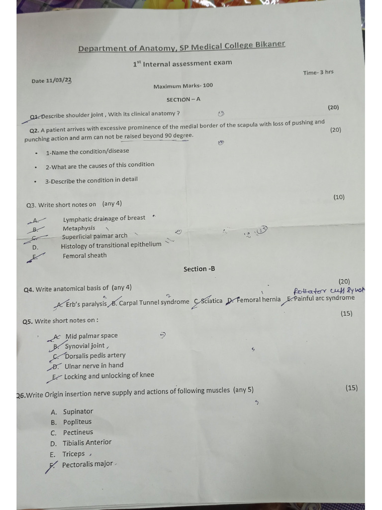 1St Semester Last Year Papers | PDF