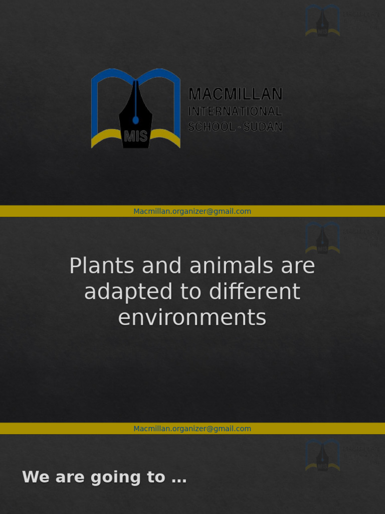 Plants and Animal Adaptations | PDF
