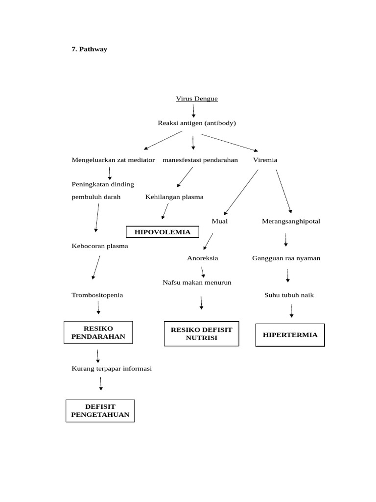 Pathway DHF Dooon | PDF
