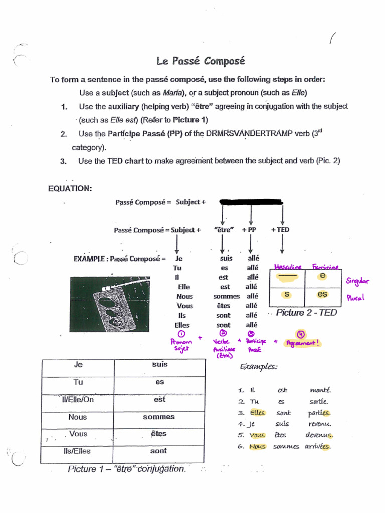 Verbes Dr. et Mr. Vandertramp | PDF