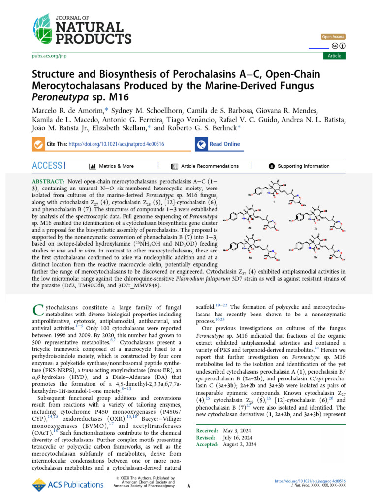 De Amorim 2024 Structure and Biosynthesis of Peroc | PDF | Two ...