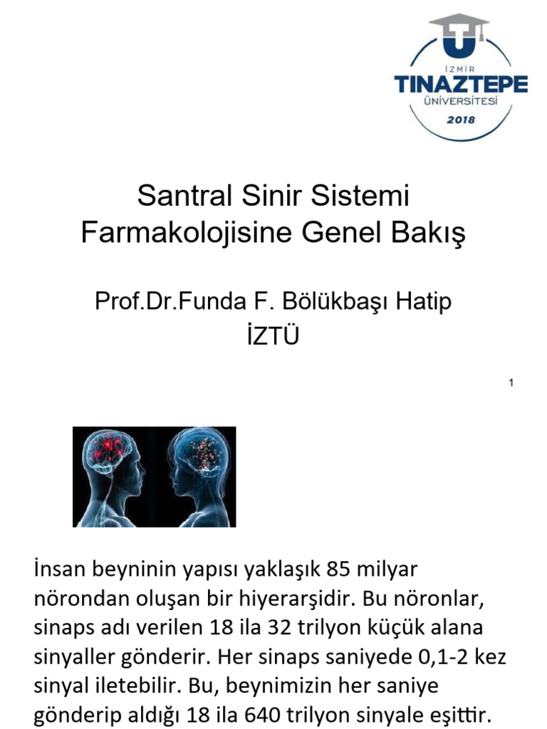 SSS Tinaztepe FFBH | PDF