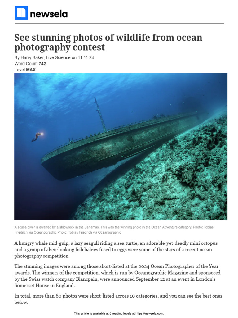 Ocean Photographer of the Year | PDF | Octopus | Oceanography