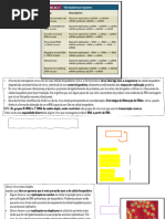Classificação de Baltimore | PDF | Vírus | RNA