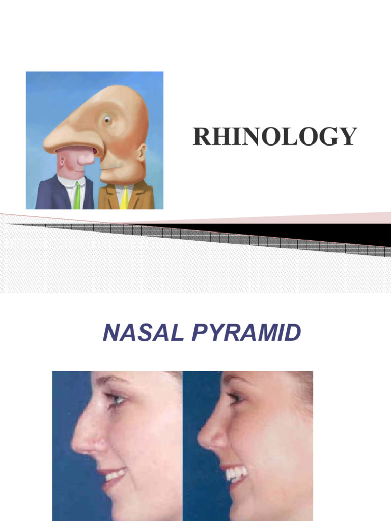 Rhinology Anatomy+ Physiology | PDF | Human Nose | Otorhinolaryngology