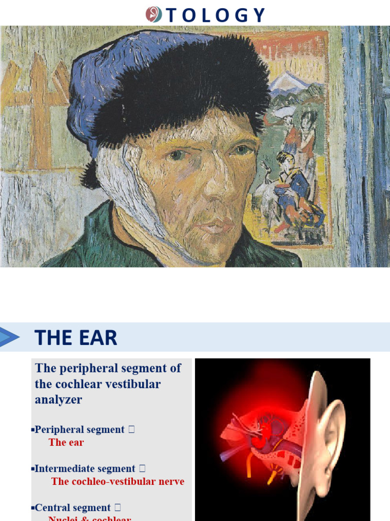 1.1. Anatomy of The Ear - DV-1 | PDF | Ear | Auditory System