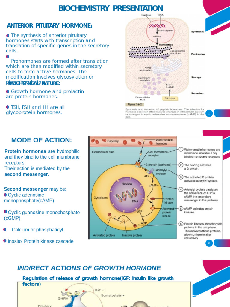 Biochem Presentation PDF | PDF