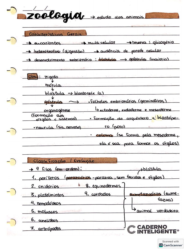 Biologia 2-Combinado | PDF