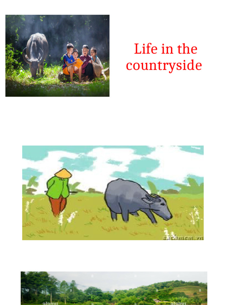 Life in Countryside | PDF