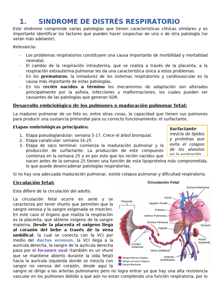Sindrome de Distrés Respiratorio: Desarrollo Embriológico de Los ...